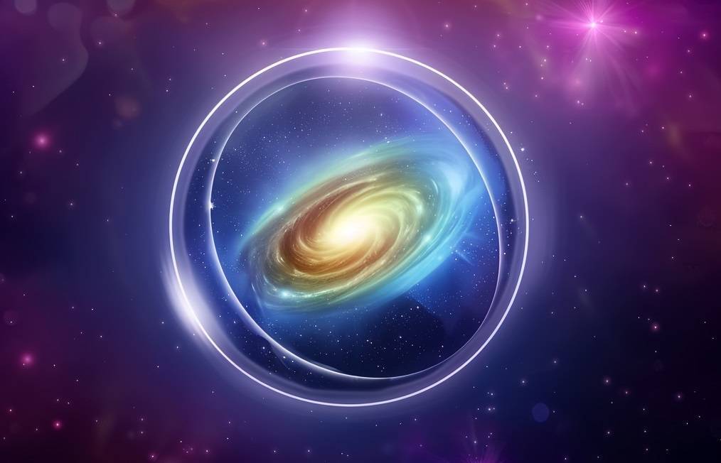 Morphogenetic fields - Morphogeneticfield.com